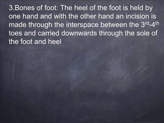 age of fetus with morphological features | PPTX