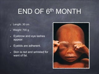 age of fetus with morphological features | PPTX