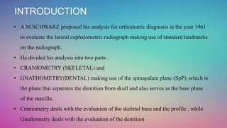 Schwarz Analysis | PPTX