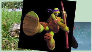 Sheldon Donashello - The Shell Shwimmer | PPT