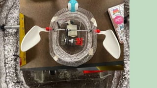 Sheldon Donashello - The Shell Shwimmer | PPT