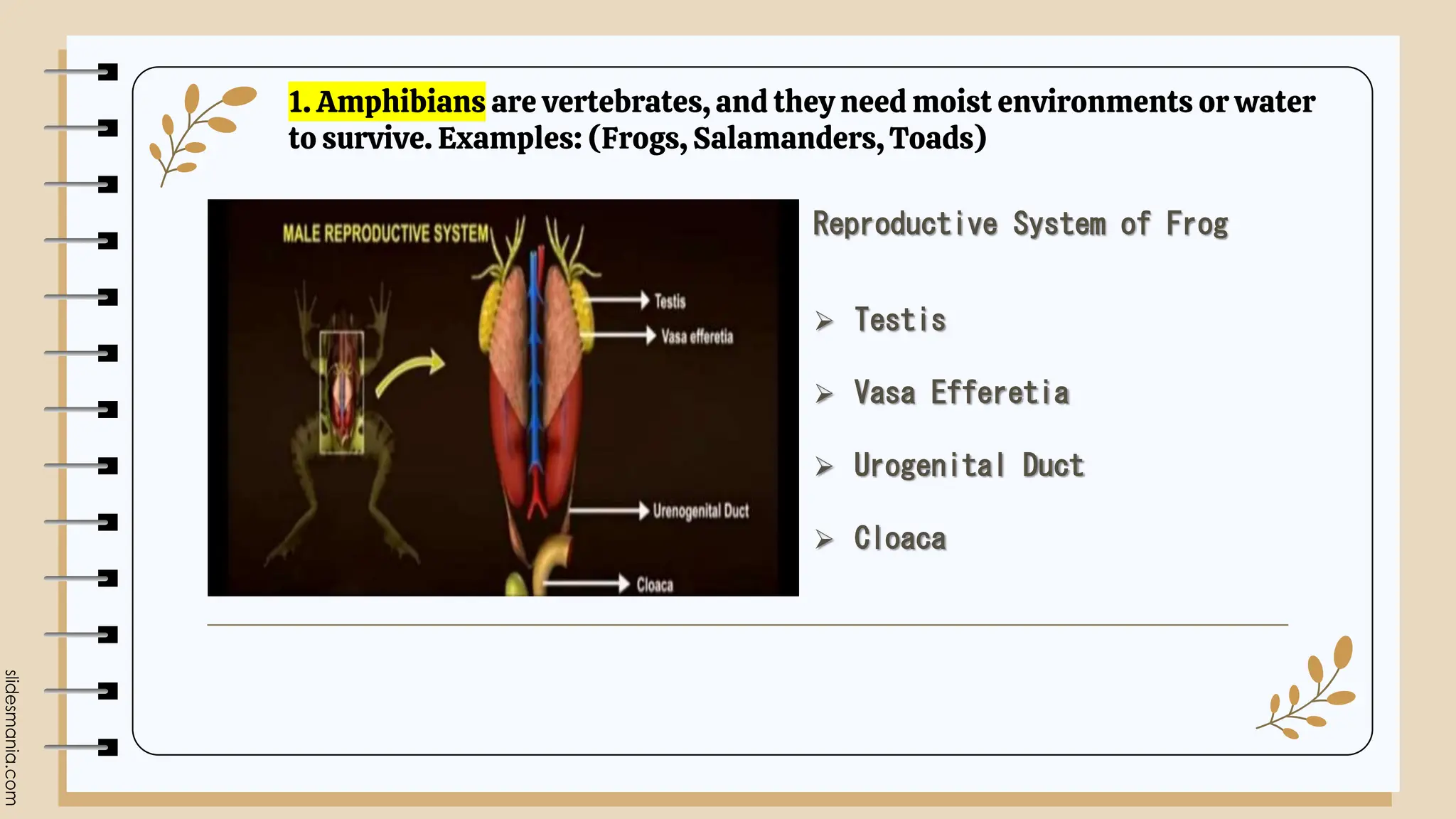 SCI-101-GRADE-5-BIO.pptx