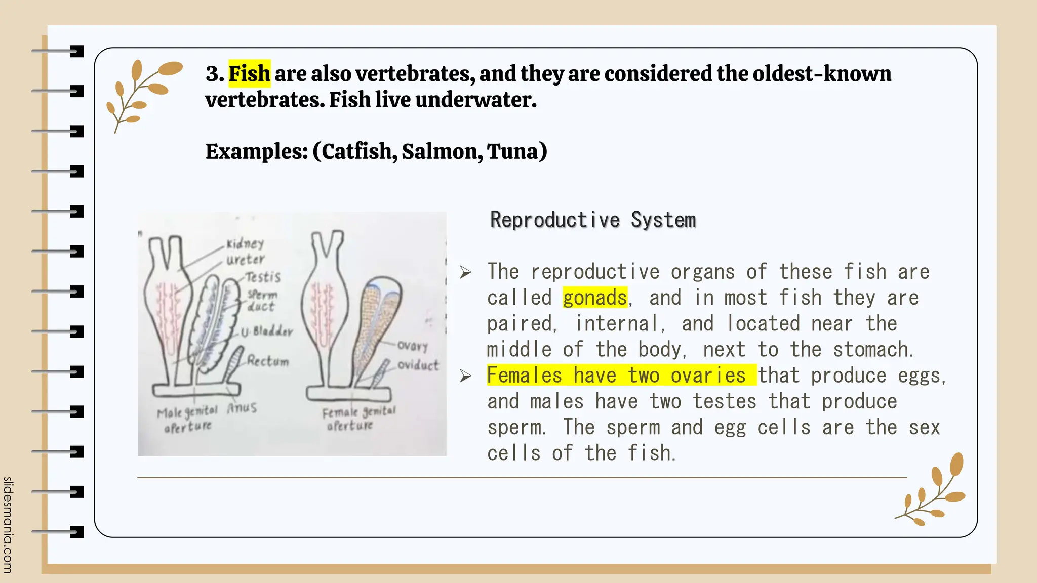 SCI-101-GRADE-5-BIO.pptx