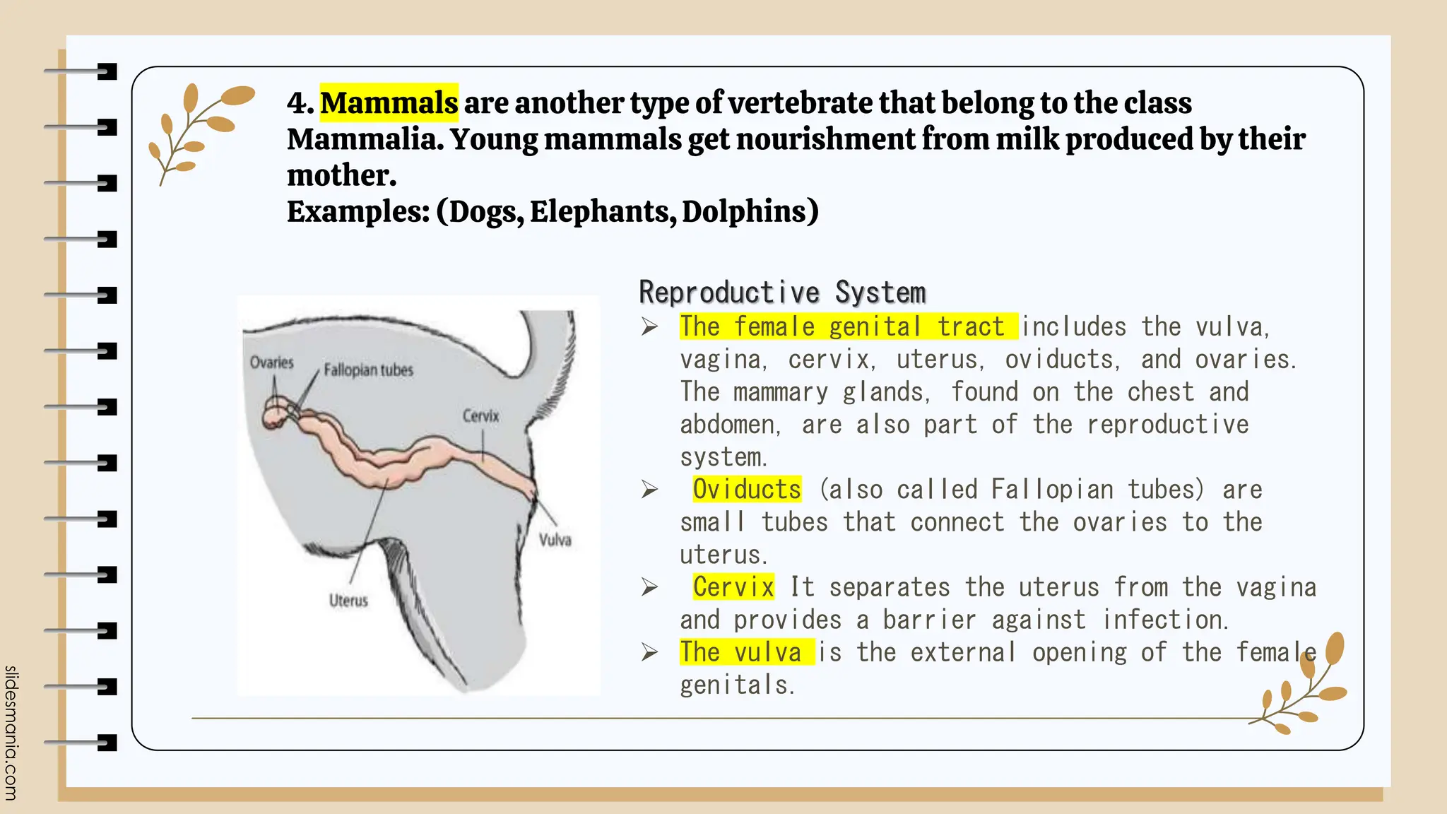 SCI-101-GRADE-5-BIO.pptx