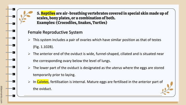 SCI-101-GRADE-5-BIO.pptx