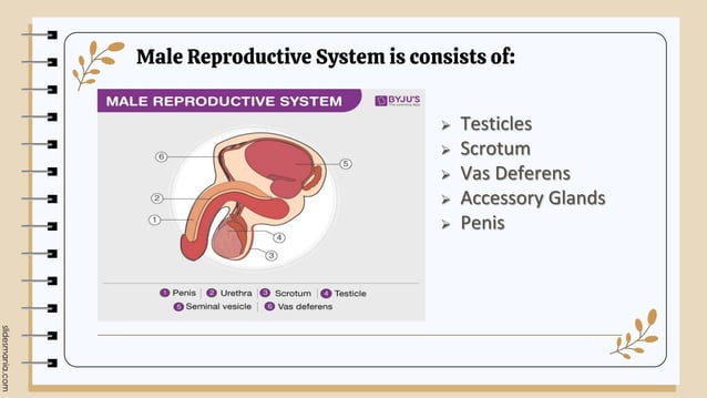SCI-101-GRADE-5-BIO.pptx