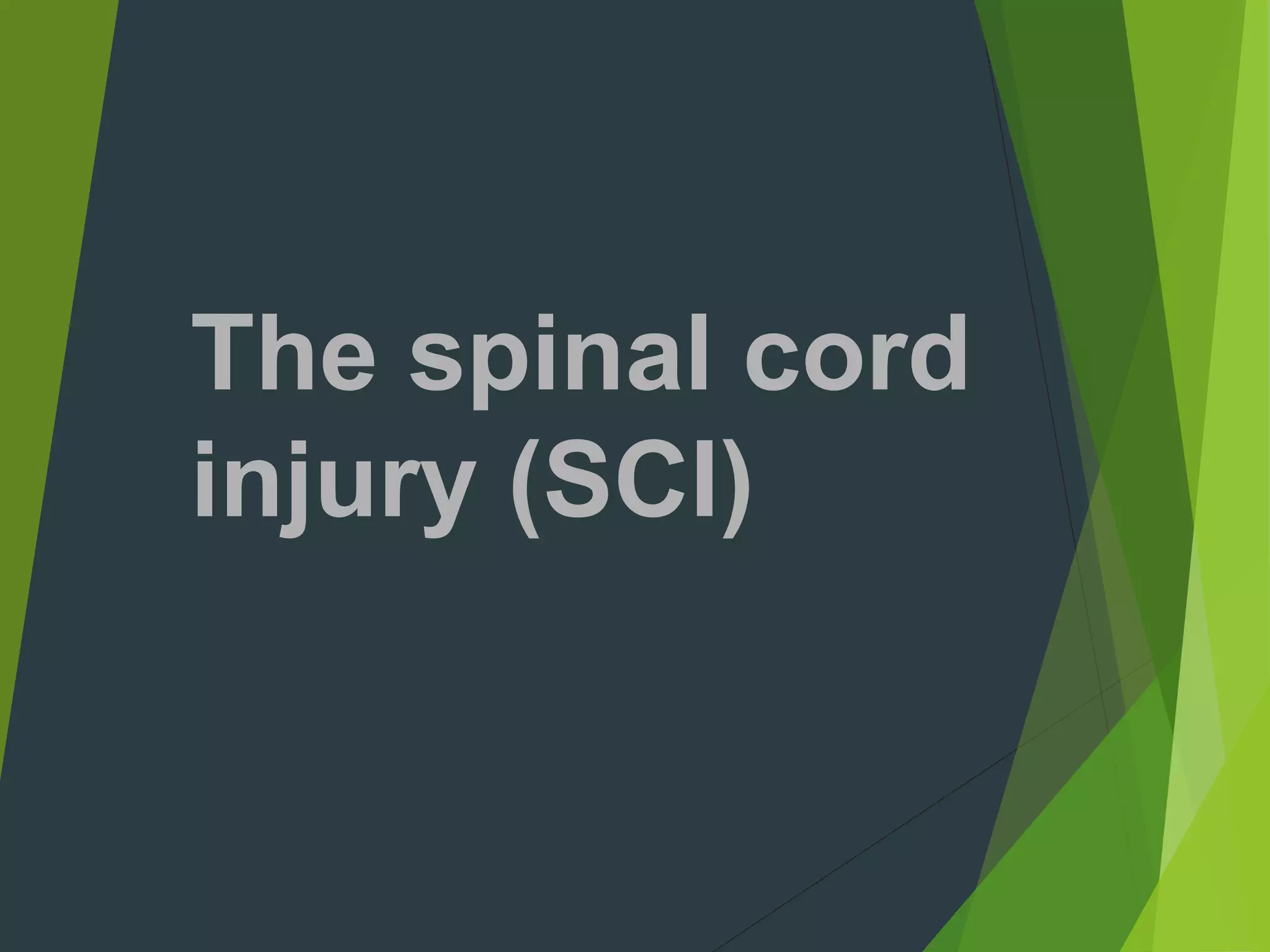 spinal cord presentation for anatomy | PPTX