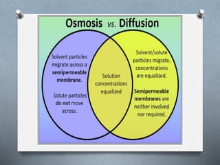 diffusion& osmosis | PPTX