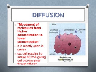 diffusion& osmosis | PPTX