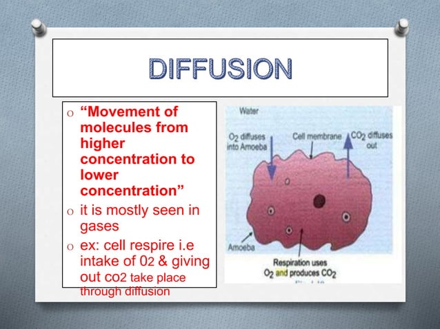 diffusion& osmosis | PPTX