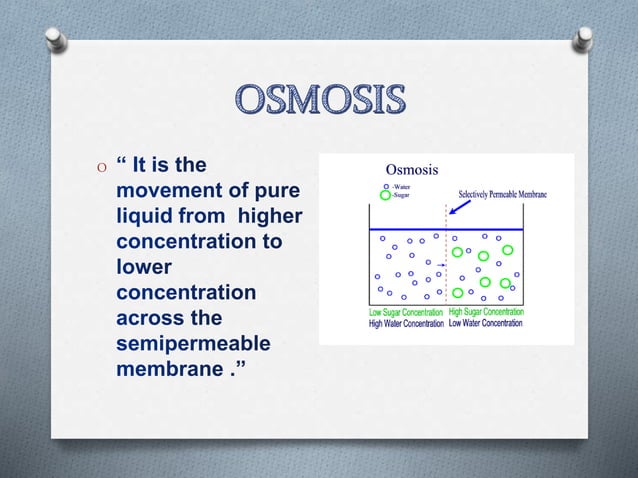 diffusion& osmosis | PPTX