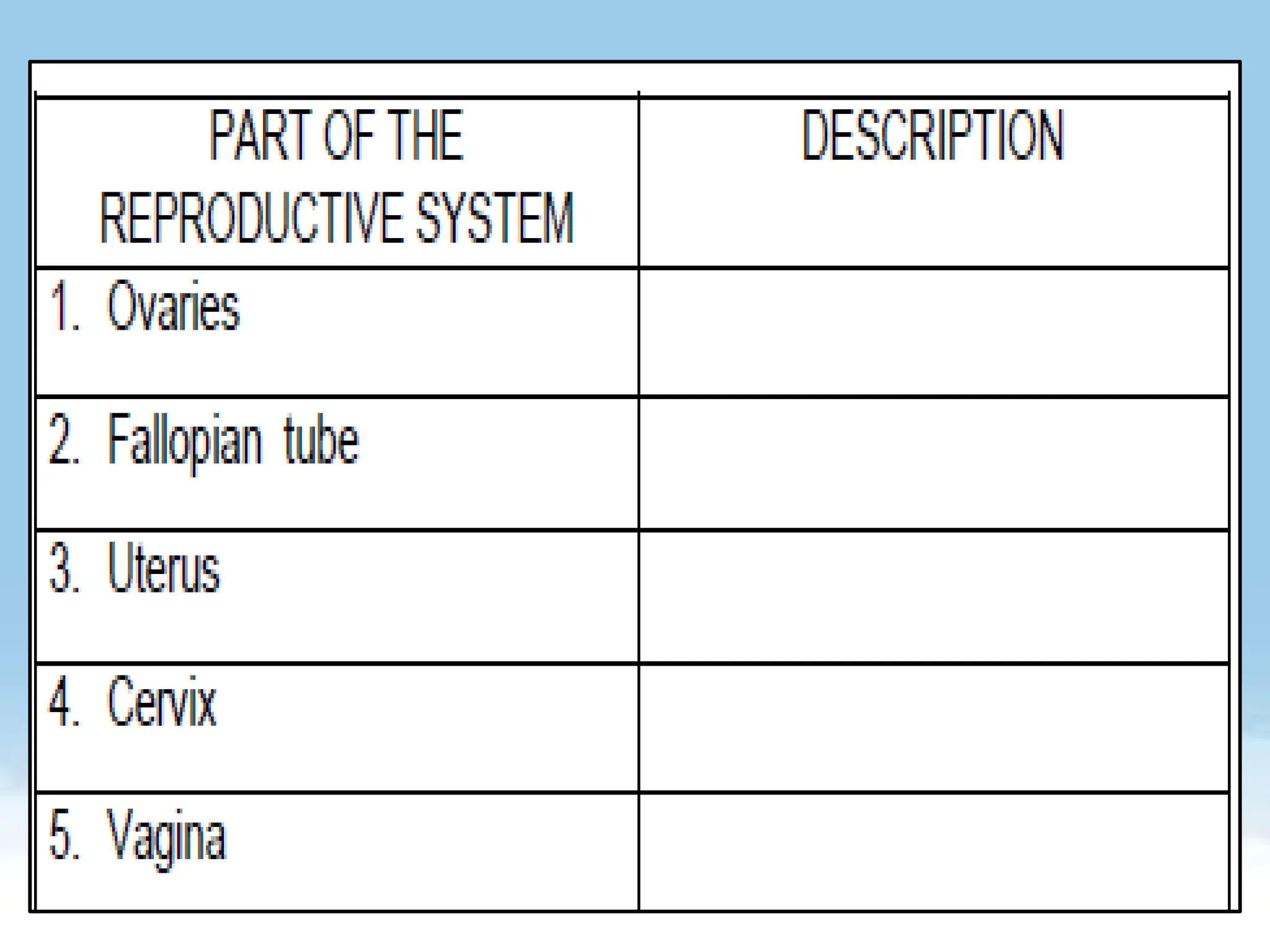 sci-5-ppt-q2-female-reproductive-organ.pptx