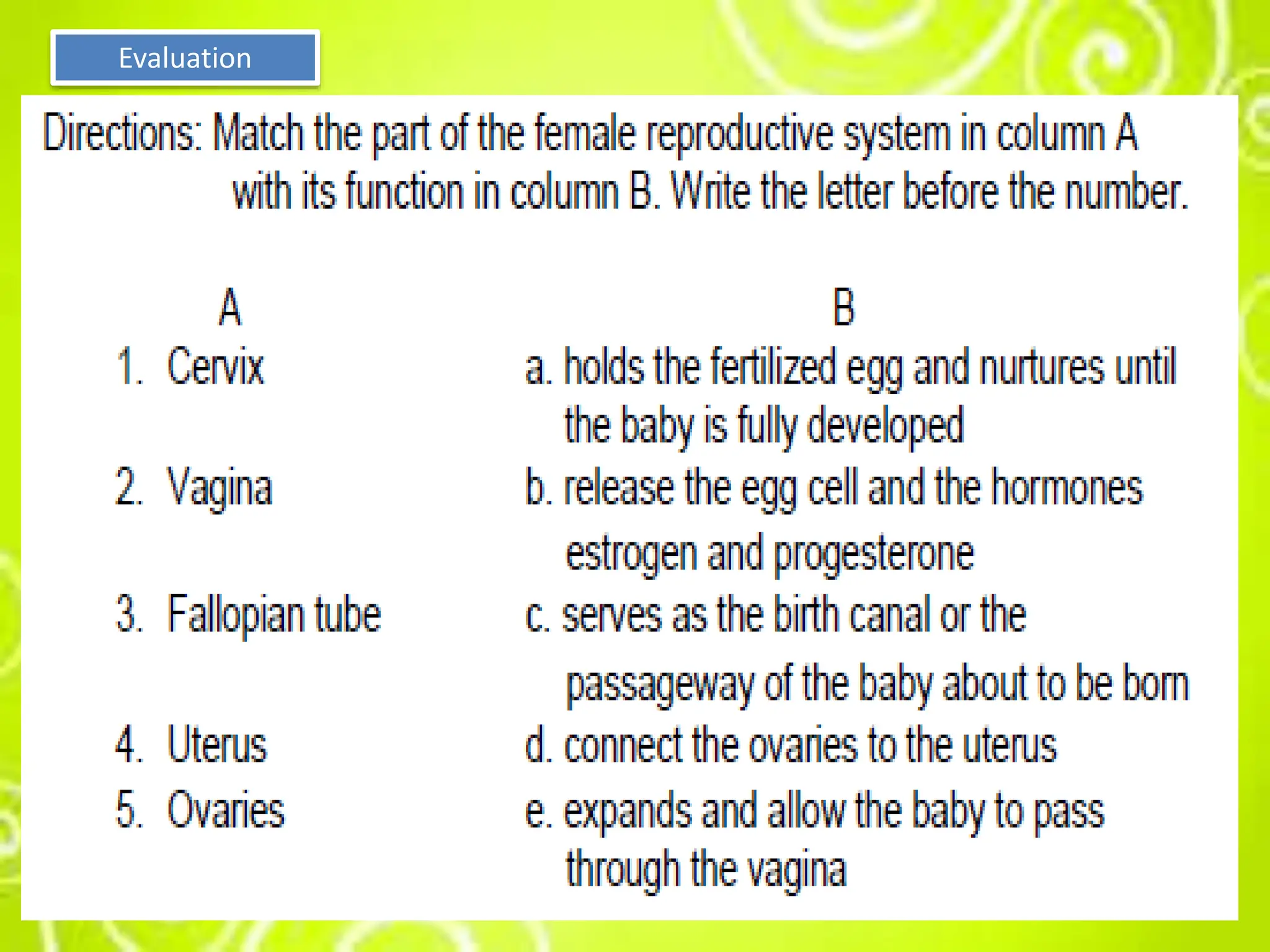 sci-5-ppt-q2-female-reproductive-organ.pptx