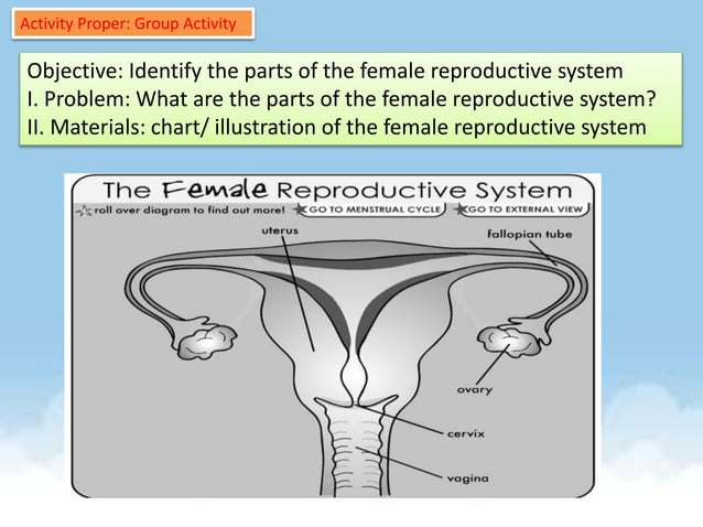 sci-5-ppt-q2-female-reproductive-organ.pptx