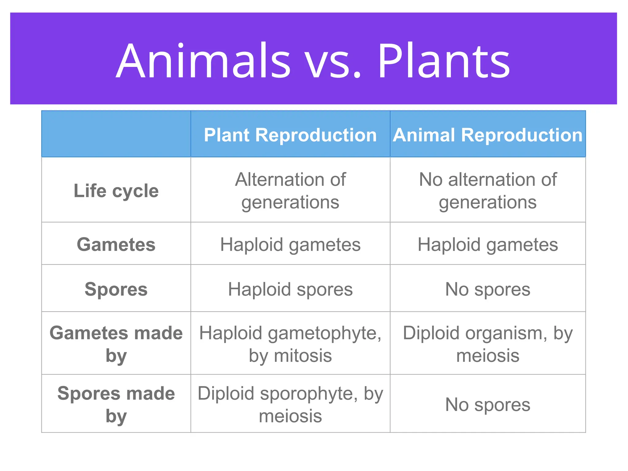 Sci-6- Q2- wk7-8 - Distinguish how spore-bearing and cone-bearing ...