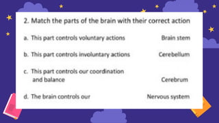PPT LESSON SCIENCE-6- QUARTER 2 WEEK-2 GRADE 6 | PPTX
