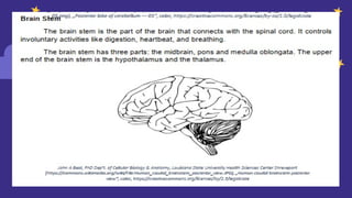 PPT LESSON SCIENCE-6- QUARTER 2 WEEK-2 GRADE 6 | PPTX