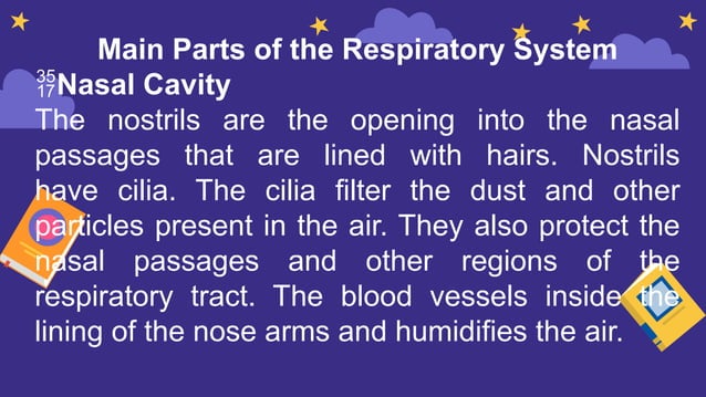 PPT LESSON SCIENCE-6- QUARTER 2 WEEK-2 GRADE 6 | PPTX
