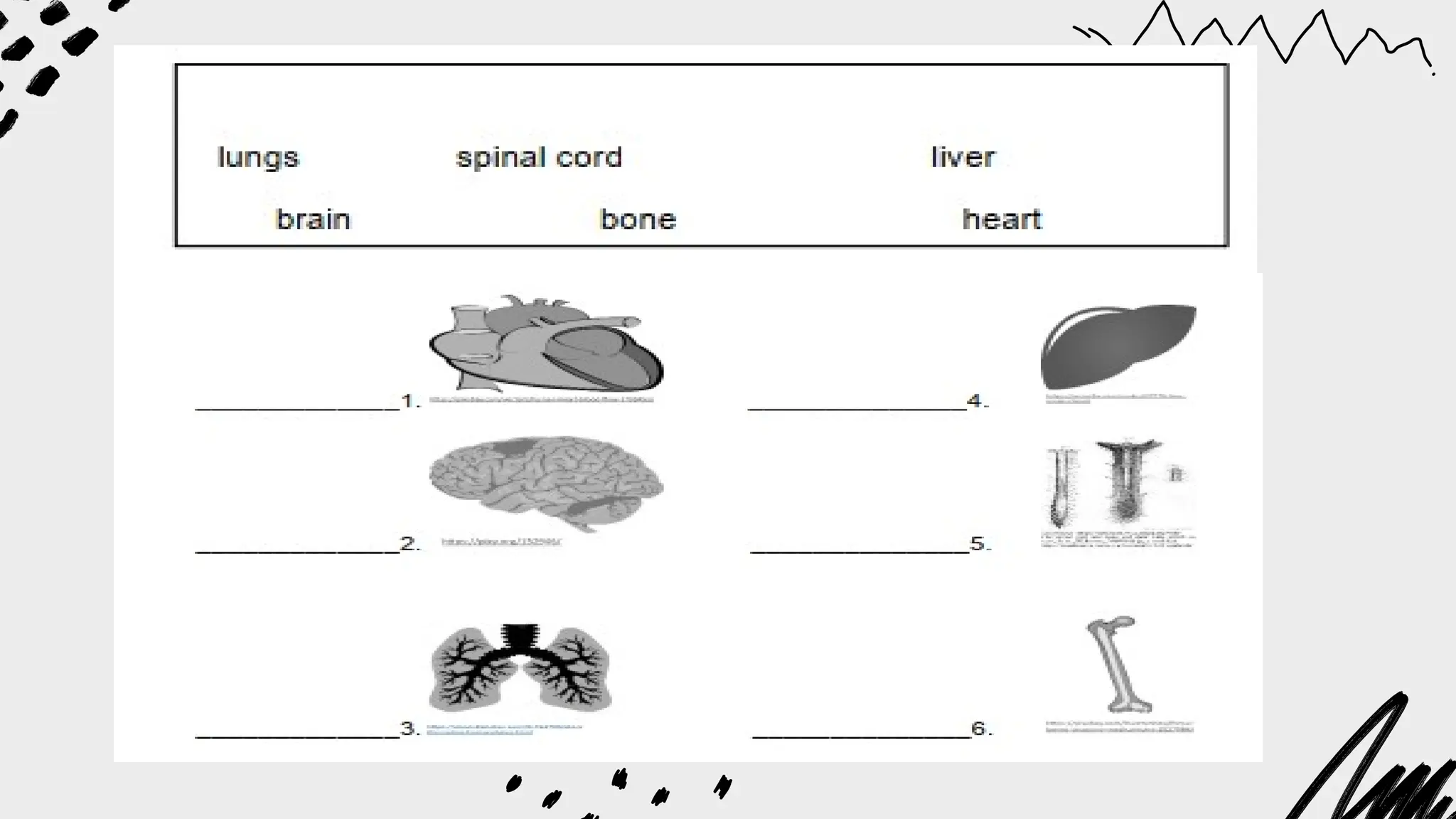 GRADE 6 SCIENCE-6-WEEK-3.pptx POWERPOINTLESSON | PPTX
