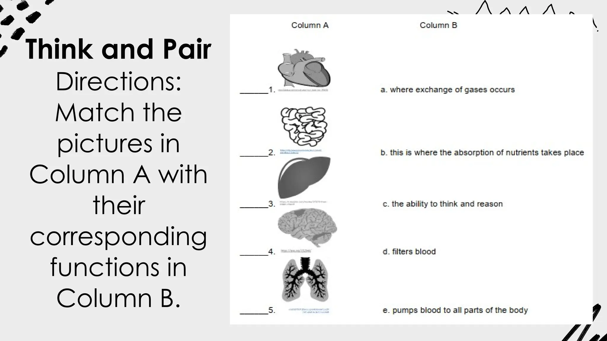 GRADE 6 SCIENCE-6-WEEK-3.pptx POWERPOINTLESSON | PPTX | Lung and ...