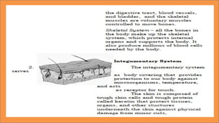 GRADE 6 SCIENCE-6-WEEK-3.pptx POWERPOINTLESSON | PPTX