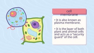 Sci-7-Lesson-3-Parts-of-the-Cell and its function.pptx