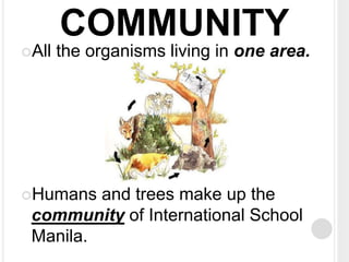 Science Ecosystem Relationships Vocabulary Cards | PPTX