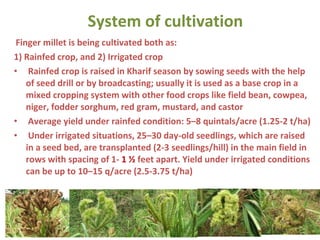 1162 Experience of System of Crop Intensification (SCI) in Finger ...