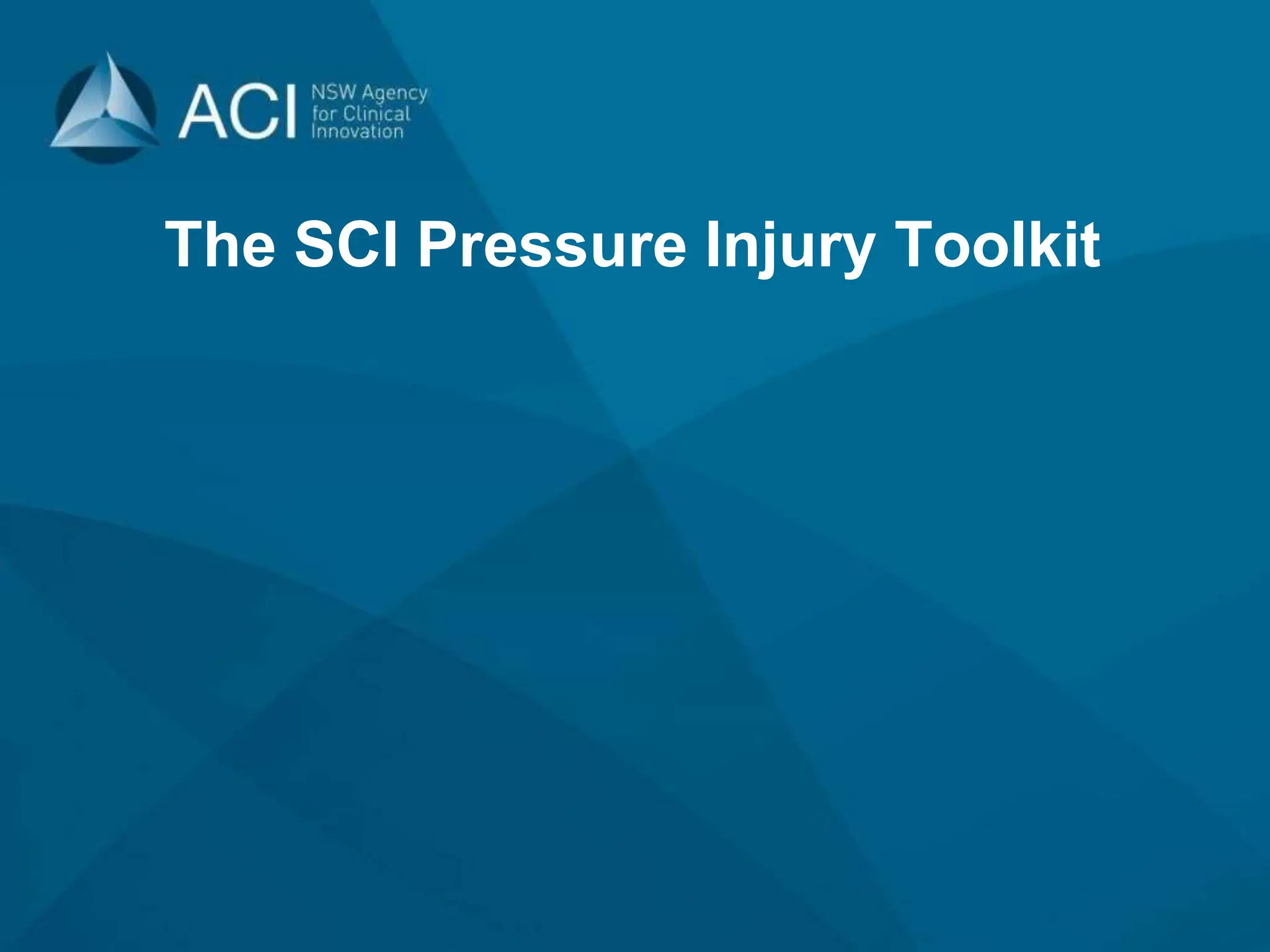SCI-Pressure-Injury-Toolkit_L-Katte.pptx
