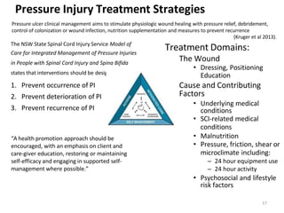 SCI-Pressure-Injury-Toolkit_L-Katte.pptx
