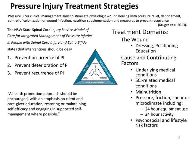 SCI-Pressure-Injury-Toolkit_L-Katte.pptx