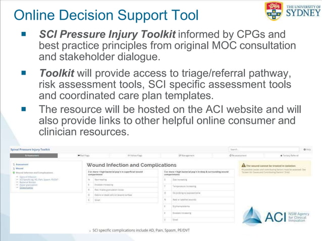 SCI-Pressure-Injury-Toolkit_L-Katte.pptx