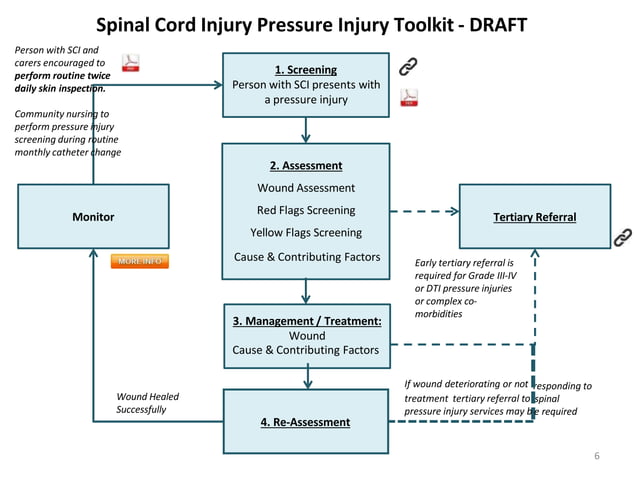 SCI-Pressure-Injury-Toolkit_L-Katte.pptx