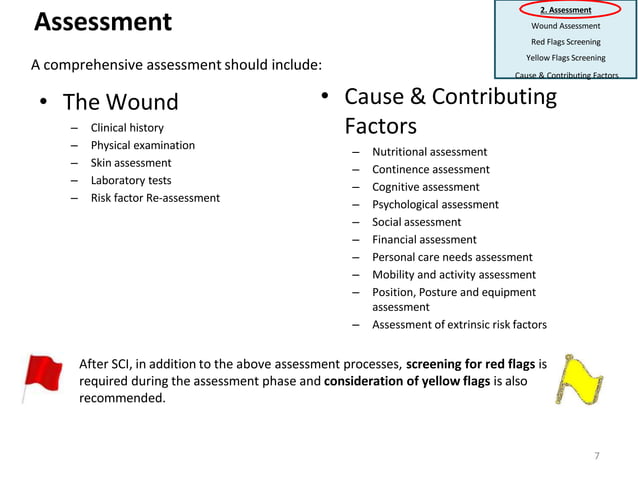 SCI-Pressure-Injury-Toolkit_L-Katte.pptx