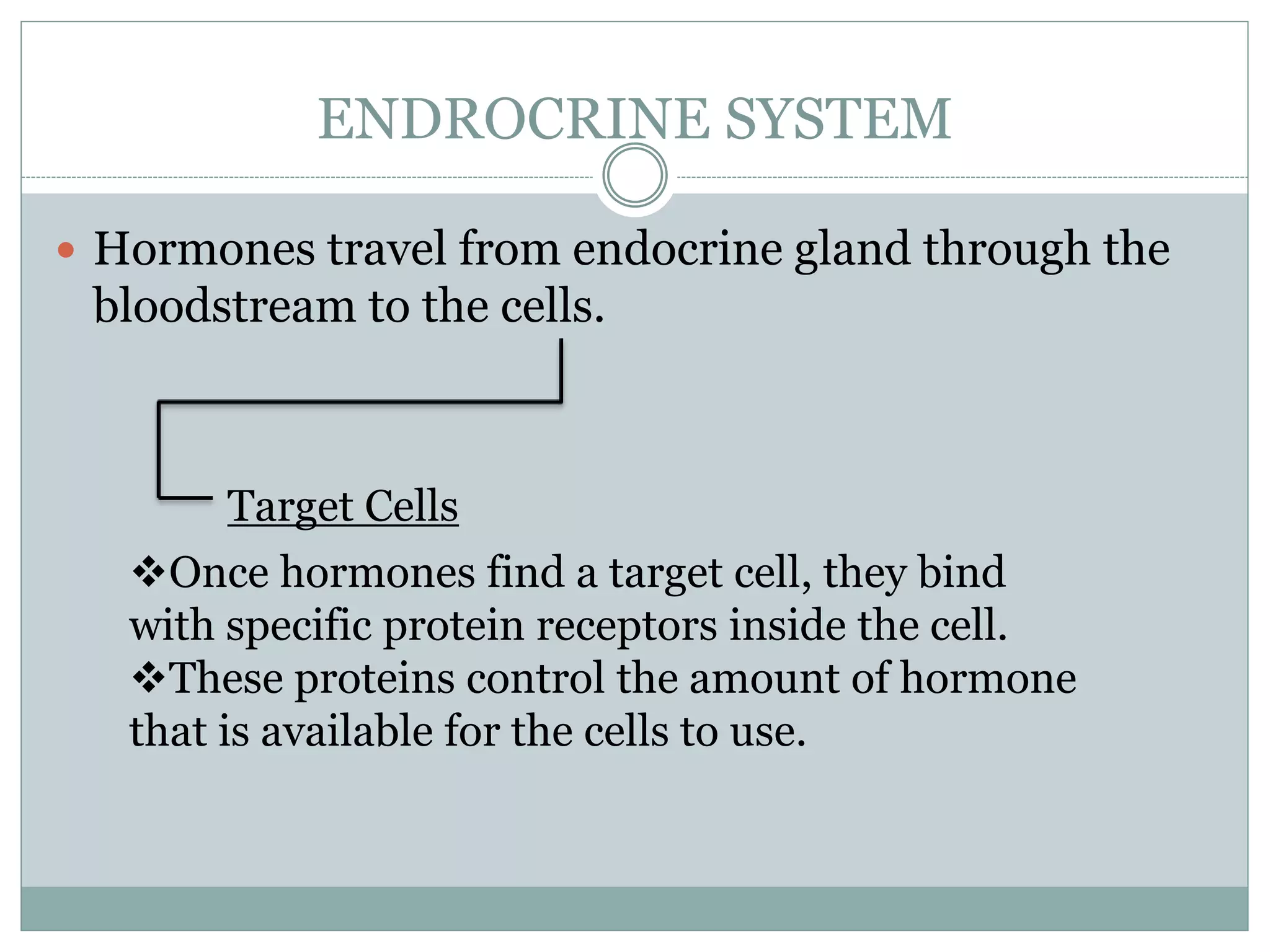 Role of endocrine system and nervous system | PPTX