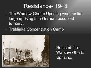 Resistance in The Holocaust | PPT