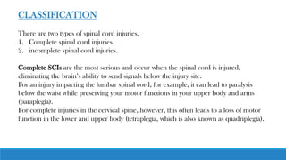 Spinal Cord Injury 1 | PPT