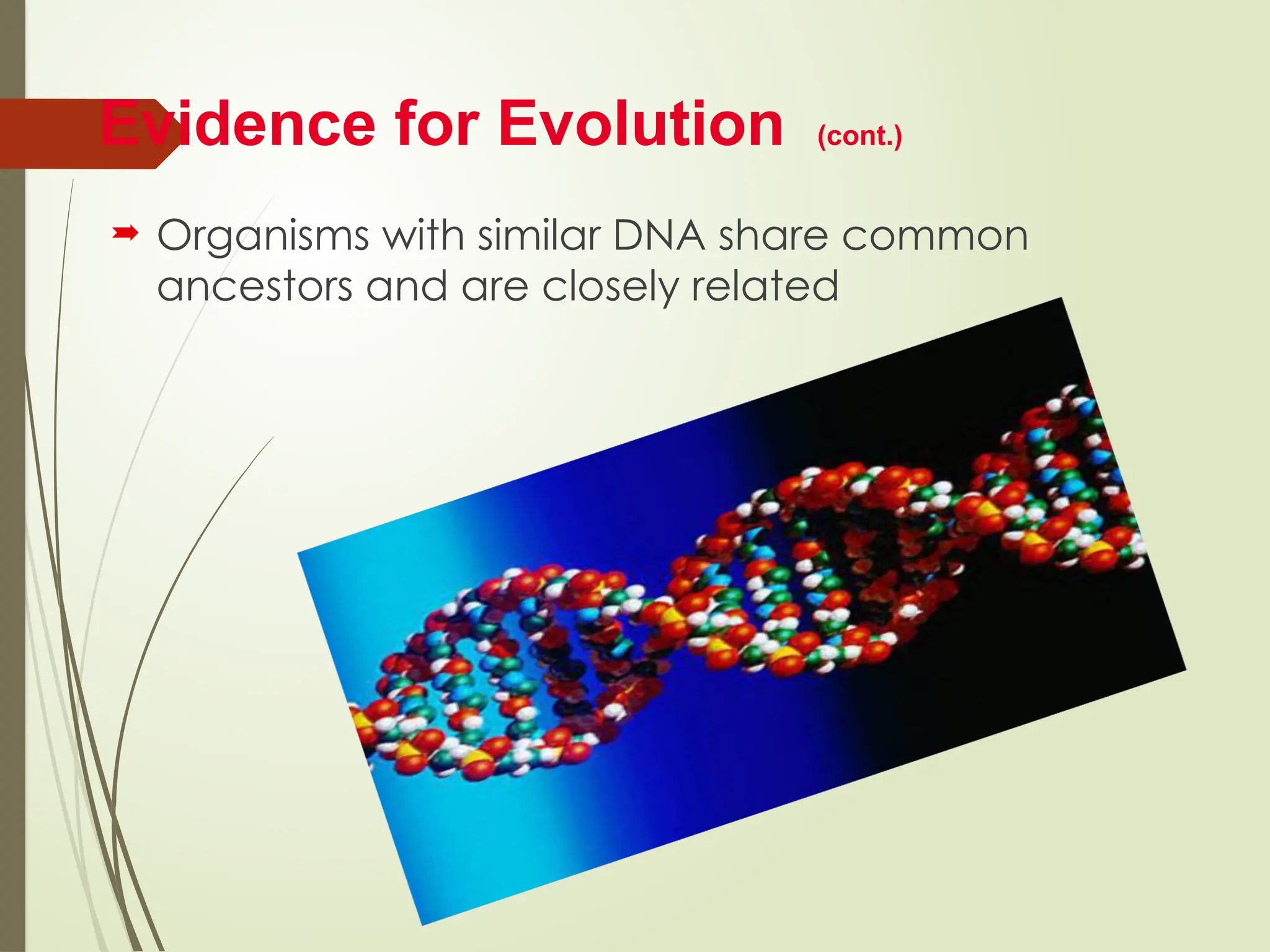 SCIENCE 10-QUARTER 3-MODULE6 Evolution.pptx