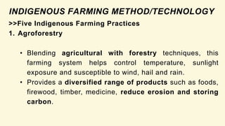 Indigenous Science and Technology in the Philippines | PDF