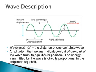 Sci 1010 chapter 6 | PPT