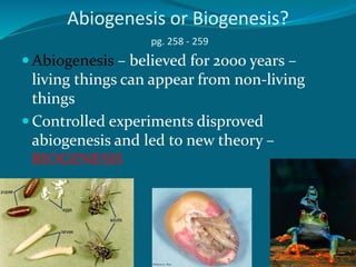 Sci 10 Life from life MICROSCOPE AS BIO | PPT