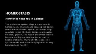 Sci 10 Q3 - Lesson 3 Endocrine System.pptx
