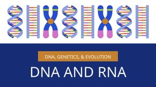 Sci 10 Q3 - Lesson 5 DNA and RNA.pptx____ | PPTX