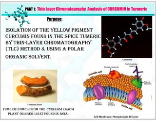Sci 124 New Lab Chromatographic Separation Methods | PDF