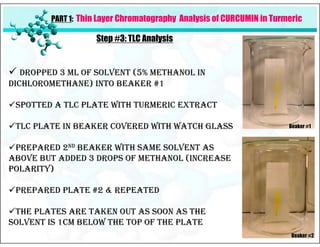 Sci 124 New Lab Chromatographic Separation Methods | PDF