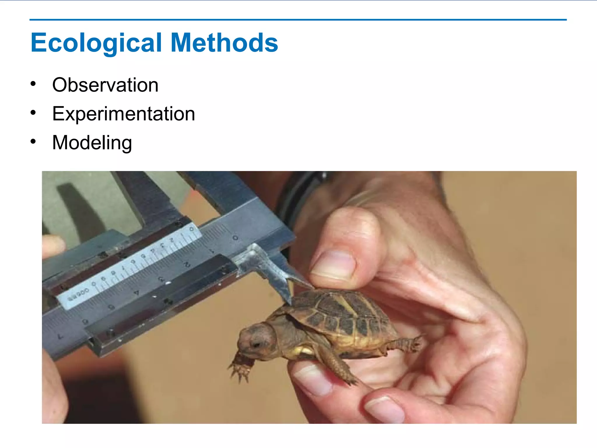 pre-AP Bio Chapter 3 part 1 | PPT