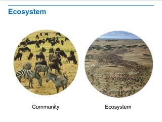 pre-AP Bio Chapter 3 part 1 | PPT