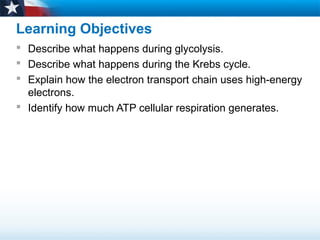 Cellular Respiration | PPT