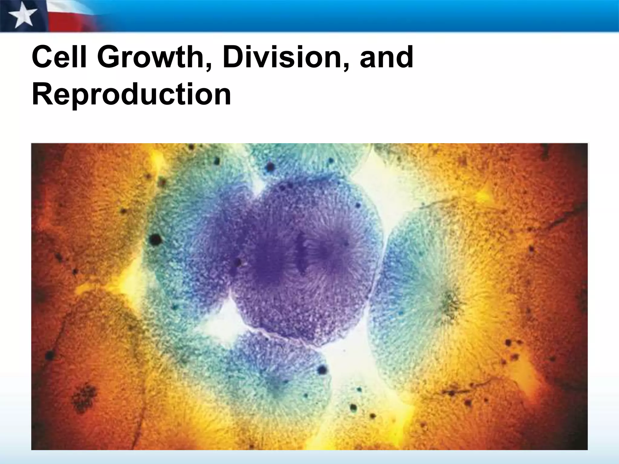 Cell Growth, Division, Reproduction | PPT