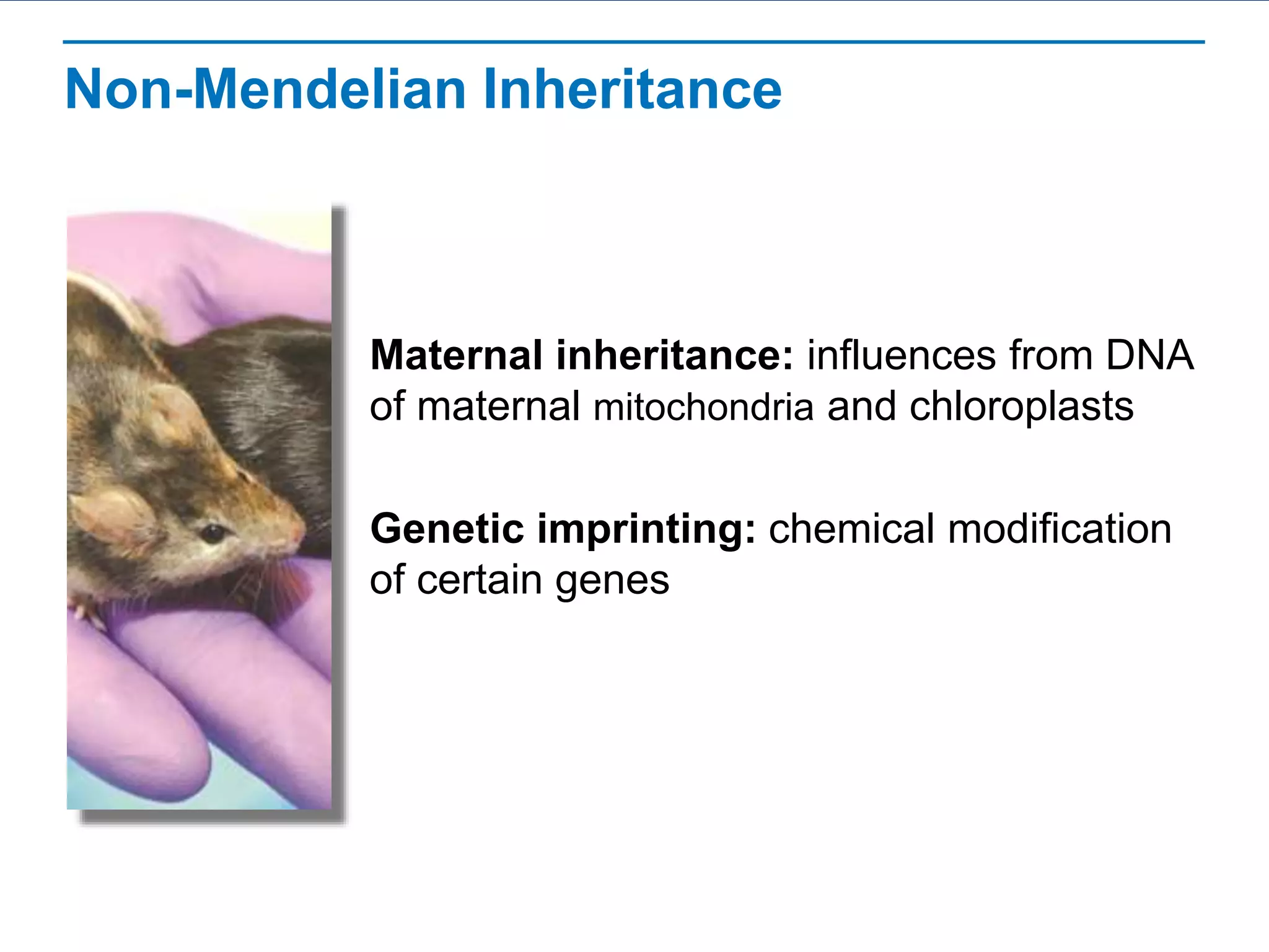 Non-Mendelian Genetics | PPT